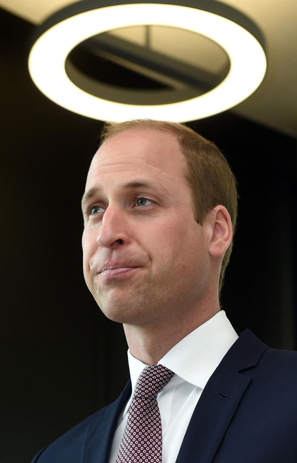 Prinz William: Seine schönsten Bilder | GALA.de