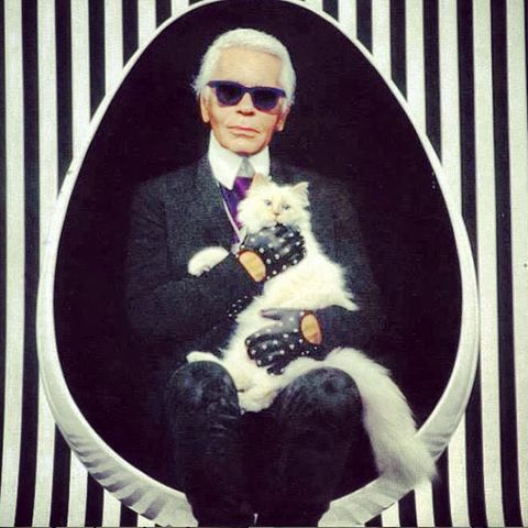 Karl Lagerfeld - Steckbrief, News, Bilder | GALA.de
