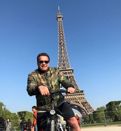 Arnold Schwarzenegger - Starporträt, News, Bilder | GALA.de