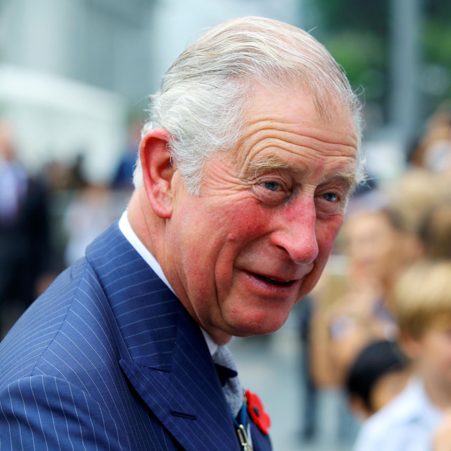 Charles Trost's Instagram, Twitter & Facebook on IDCrawl