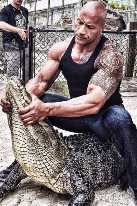 Dwayne Johnson - Starporträt, News, Bilder | GALA.de