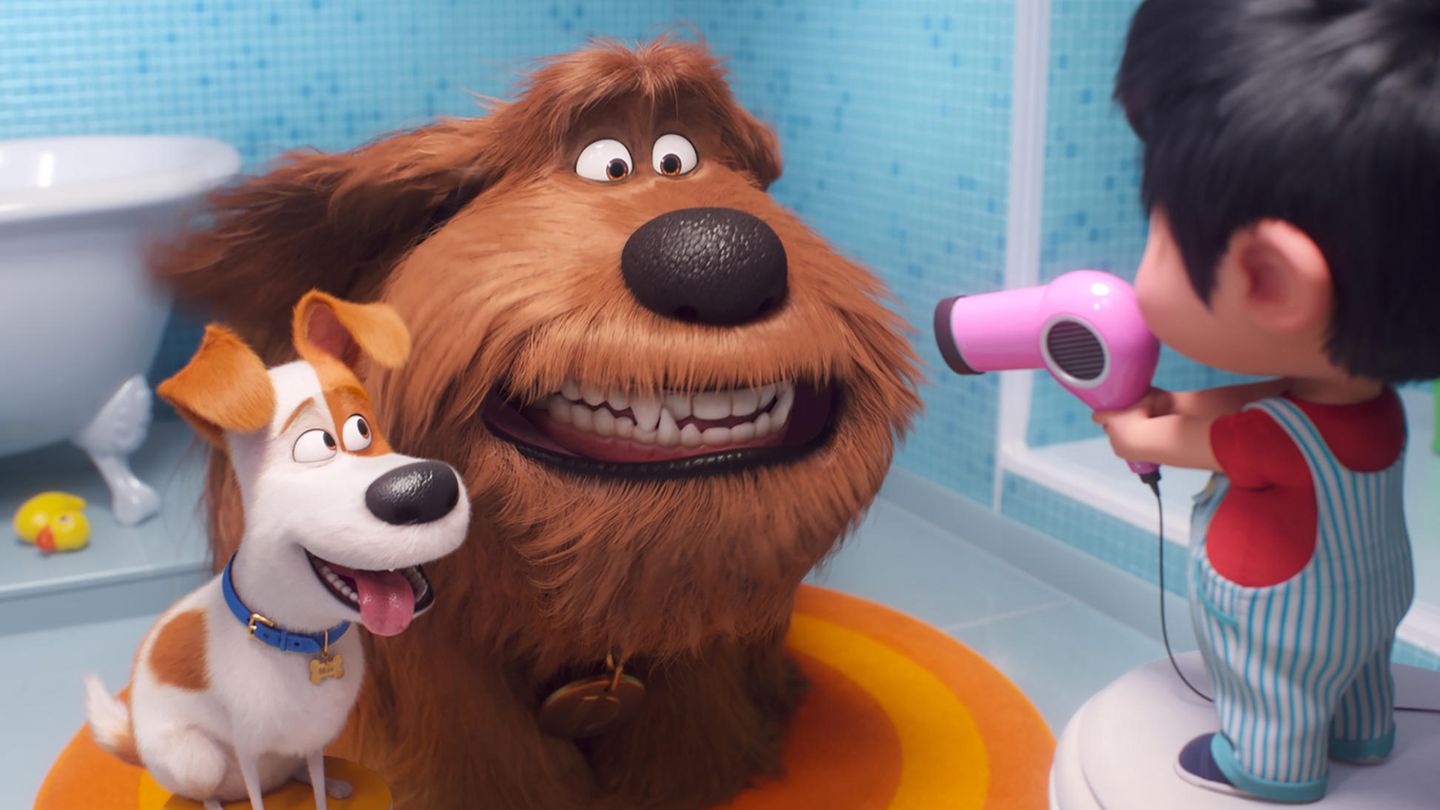 Zum Heimkinostart von "Pets 2": Hunde-Shooting zu gewinnen | GALA.de