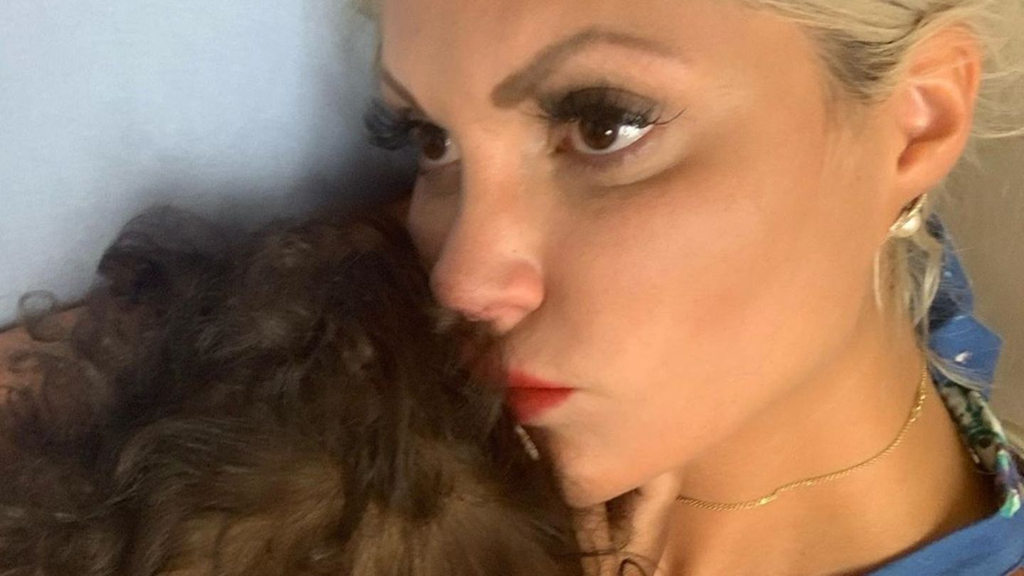 Amanda Alles's Instagram, Twitter & Facebook on IDCrawl