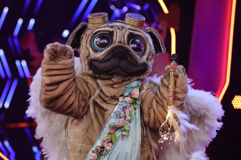 The Masked Singer: Show-Aus für die Chili – und dieser Promi steckte ...
