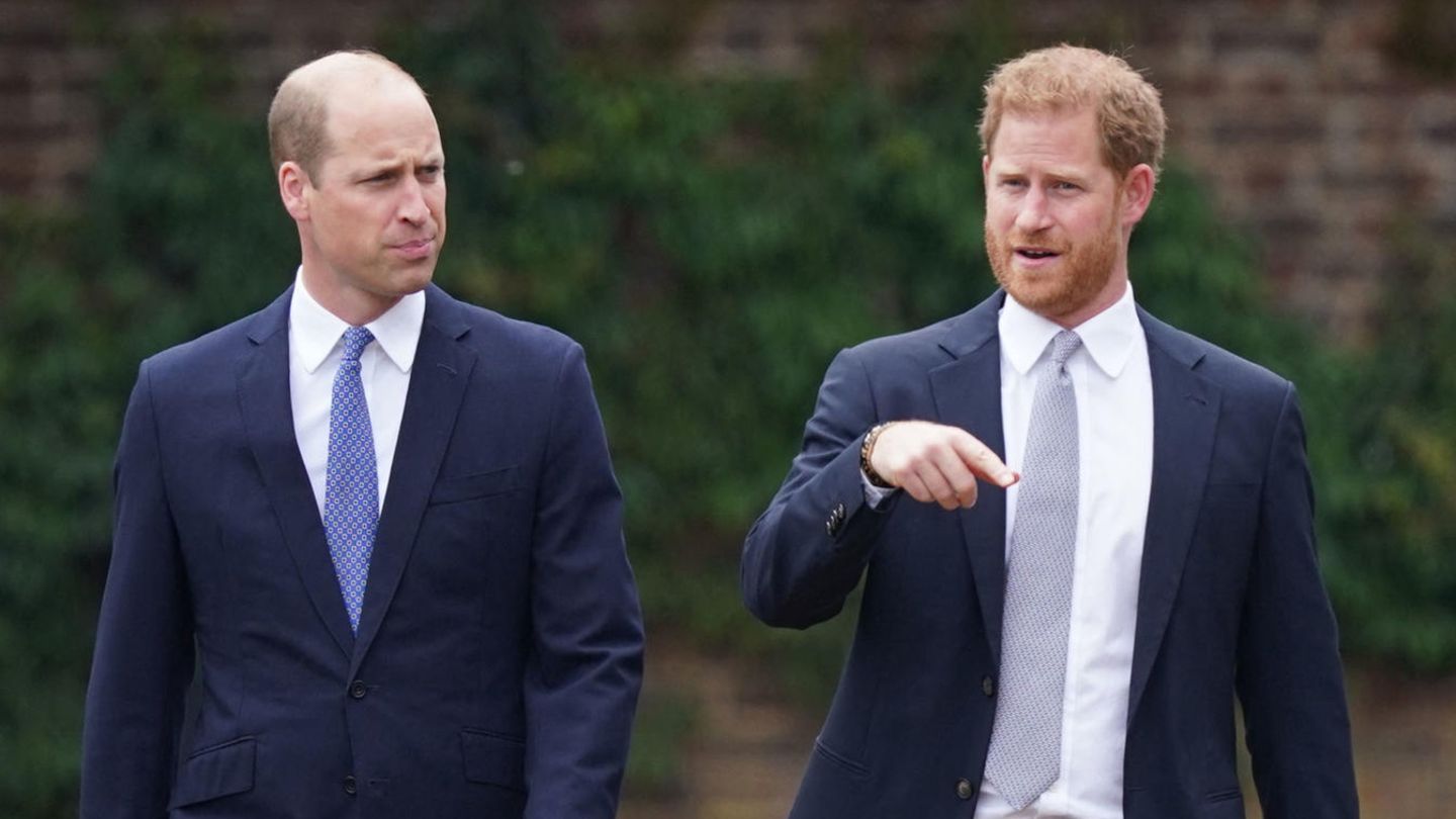 Prinz William + Prinz Harry: Kalt erwischt! Ärger über neue Doku zu ...