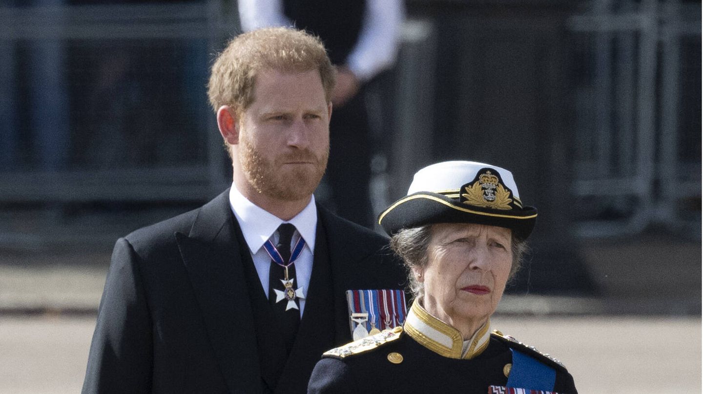 Prinz Harry: Mit diesen Aussagen untergräbt er Prinzessin Annes harte ...