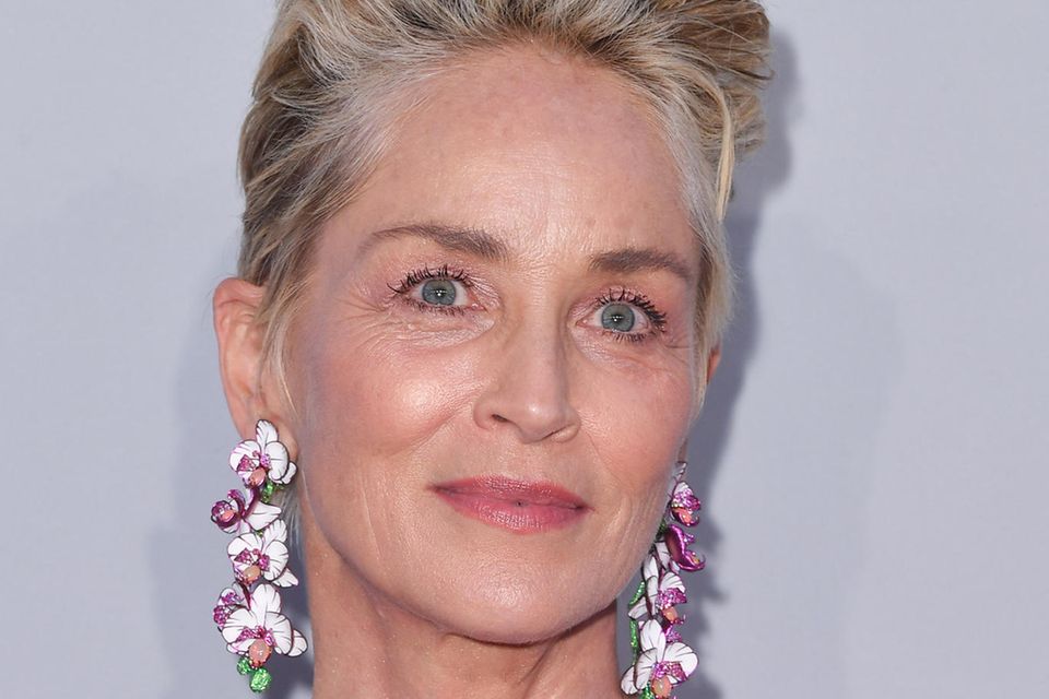 Sharon Stone News _ Sharon Stone Ehemann – Netzdot
