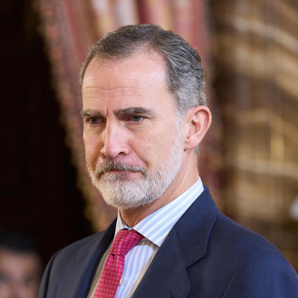 Königin Máxima der Niederlande: Sie überstrahlte beim Staatsbankett ...