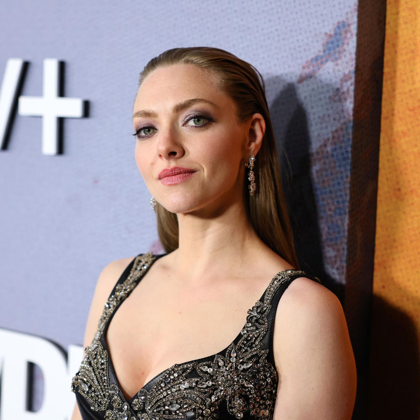 Amanda Seyfried Cher John Amanda Seyfried | Warner Bros. Entertainment