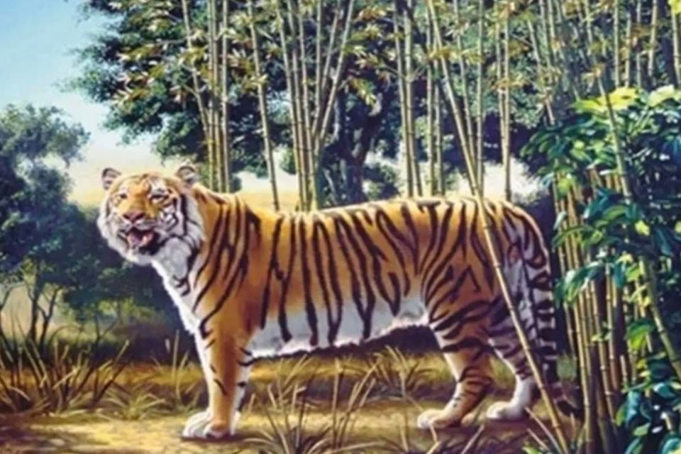 Suchbild: Finden Sie hier den versteckten zweiten Tiger? | GALA.de