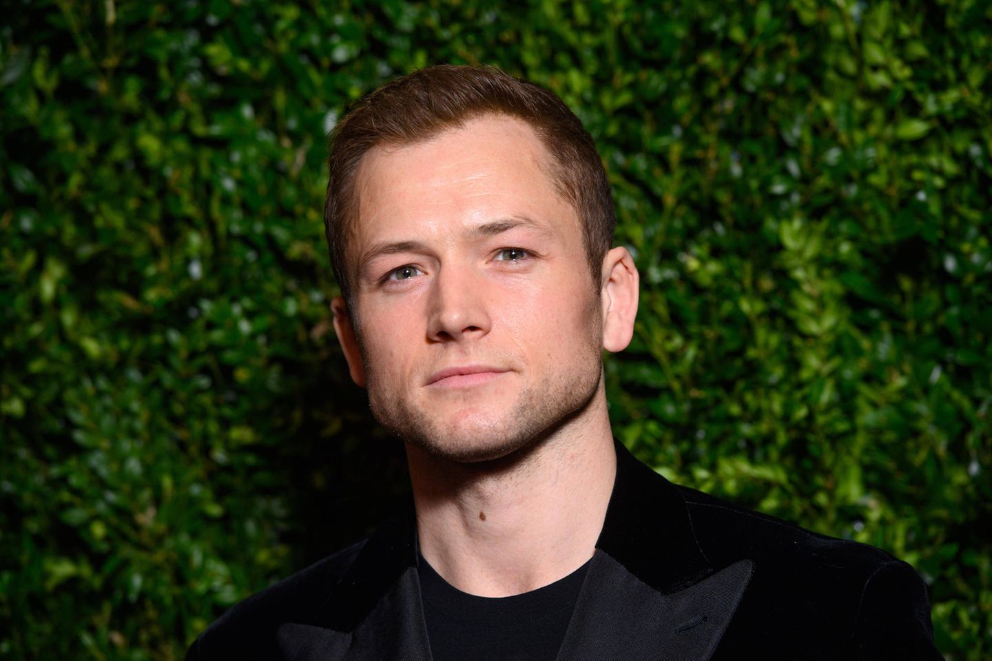 Ariana Grande & Co.: Die Promi-Schwärme der Stars | GALA.de