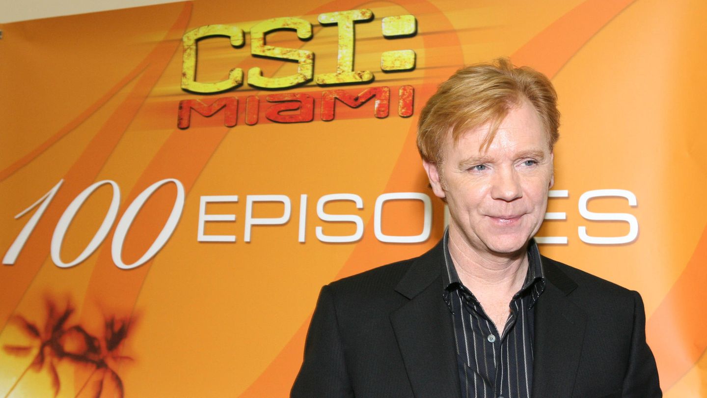 David Caruso: Horatio von "CSI Miami" sieht heute ganz anders aus