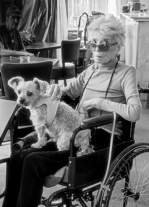 Ingrid Steeger ist tot: "Klimbim"-Schauspielerin verstirbt mit 76 ...