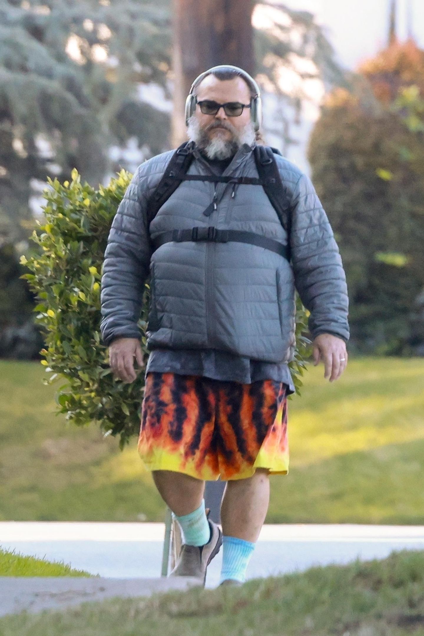 Fashion-Fauxpas: Modesünden der Stars | GALA.de