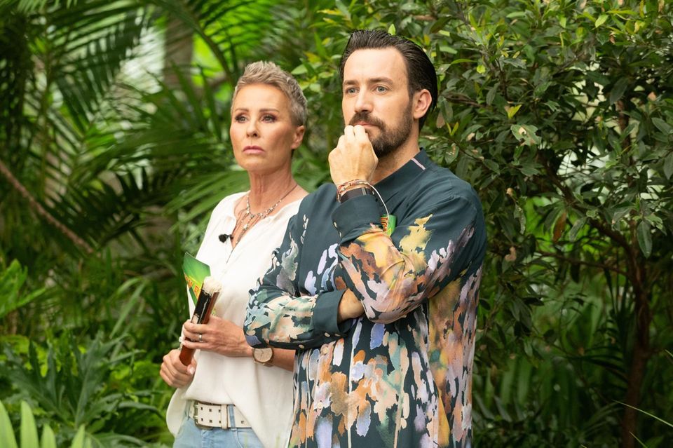 Dschungelcamp: Das IBES-Nachspiel folgt am Wochenende | GALA.de