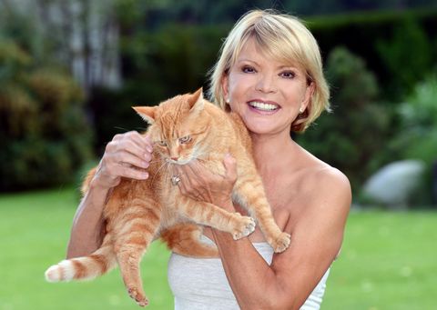 Zum 80. Geburtstag von Uschi Glas: Ihr Leben in Bildern | GALA.de