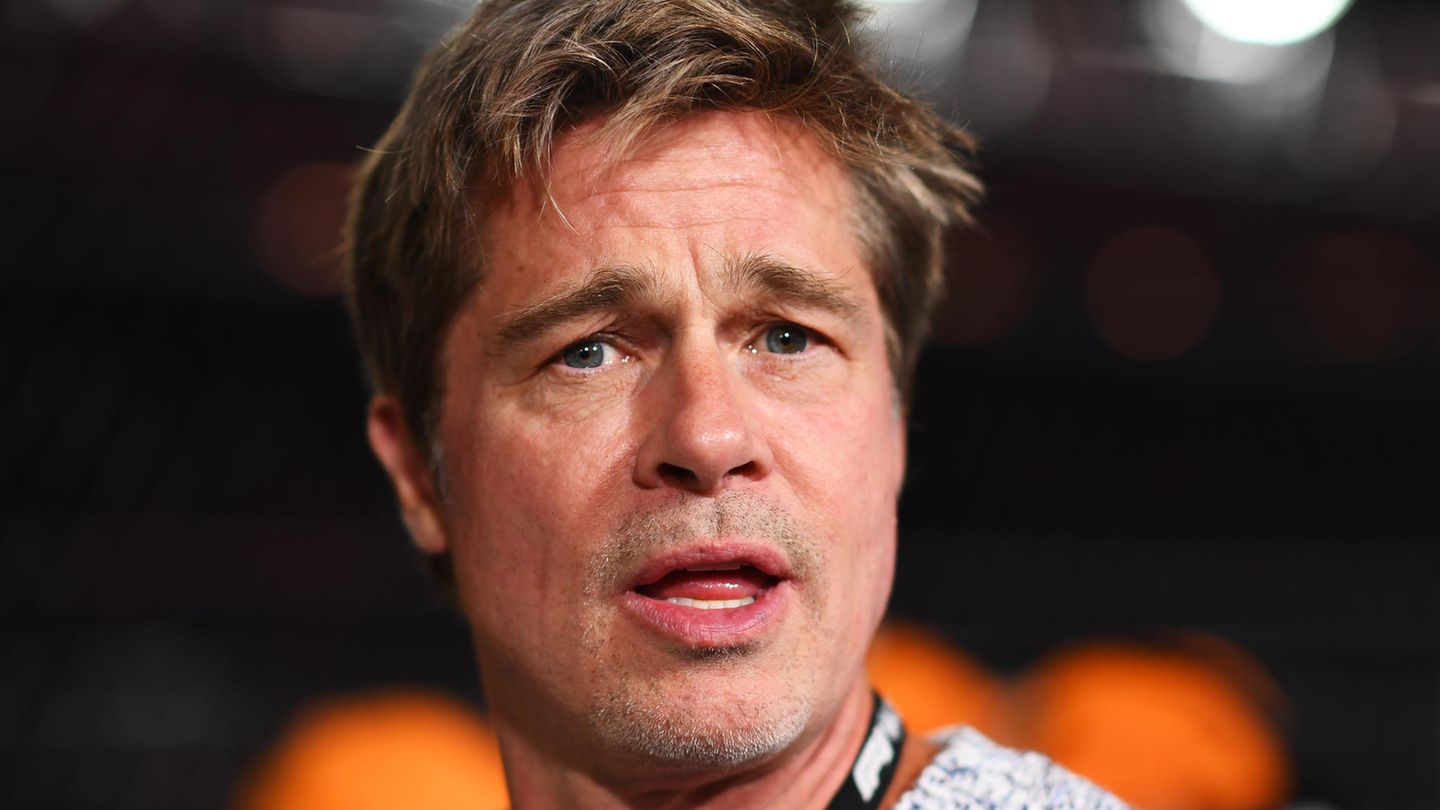 Brad Pitt Ina Leanbh Brad Pitt Ist Mit Der Genferin Ines De Ramon