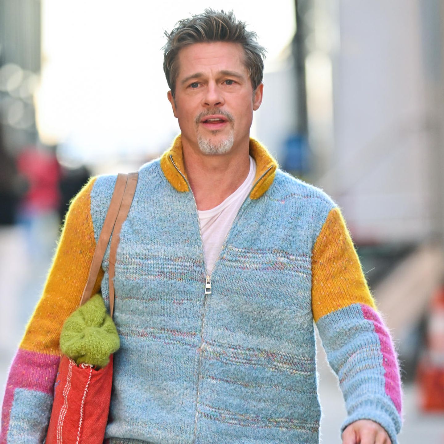 Brad Pitt Ina Leanbh Brad Pitt Ist Mit Der Genferin Ines De Ramon