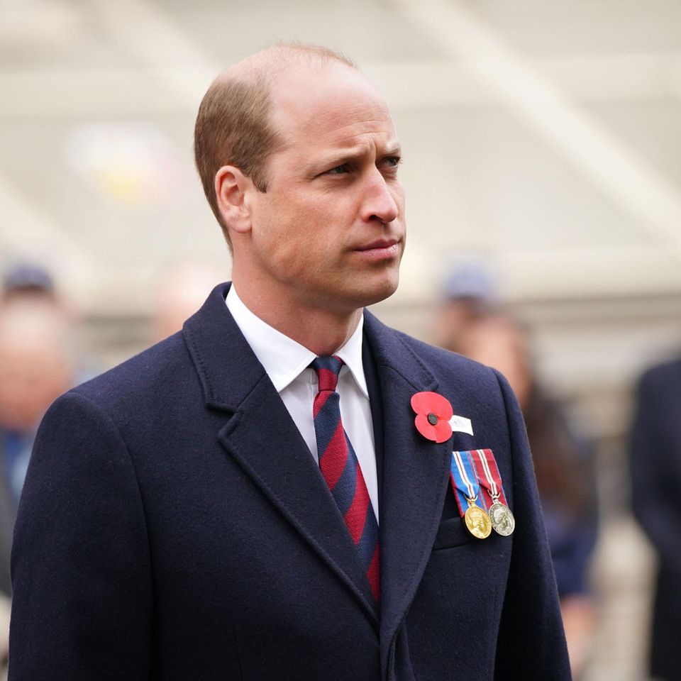 Prinzessin Diana: So kalt behandelte sie Charles nach Harrys Geburt ...