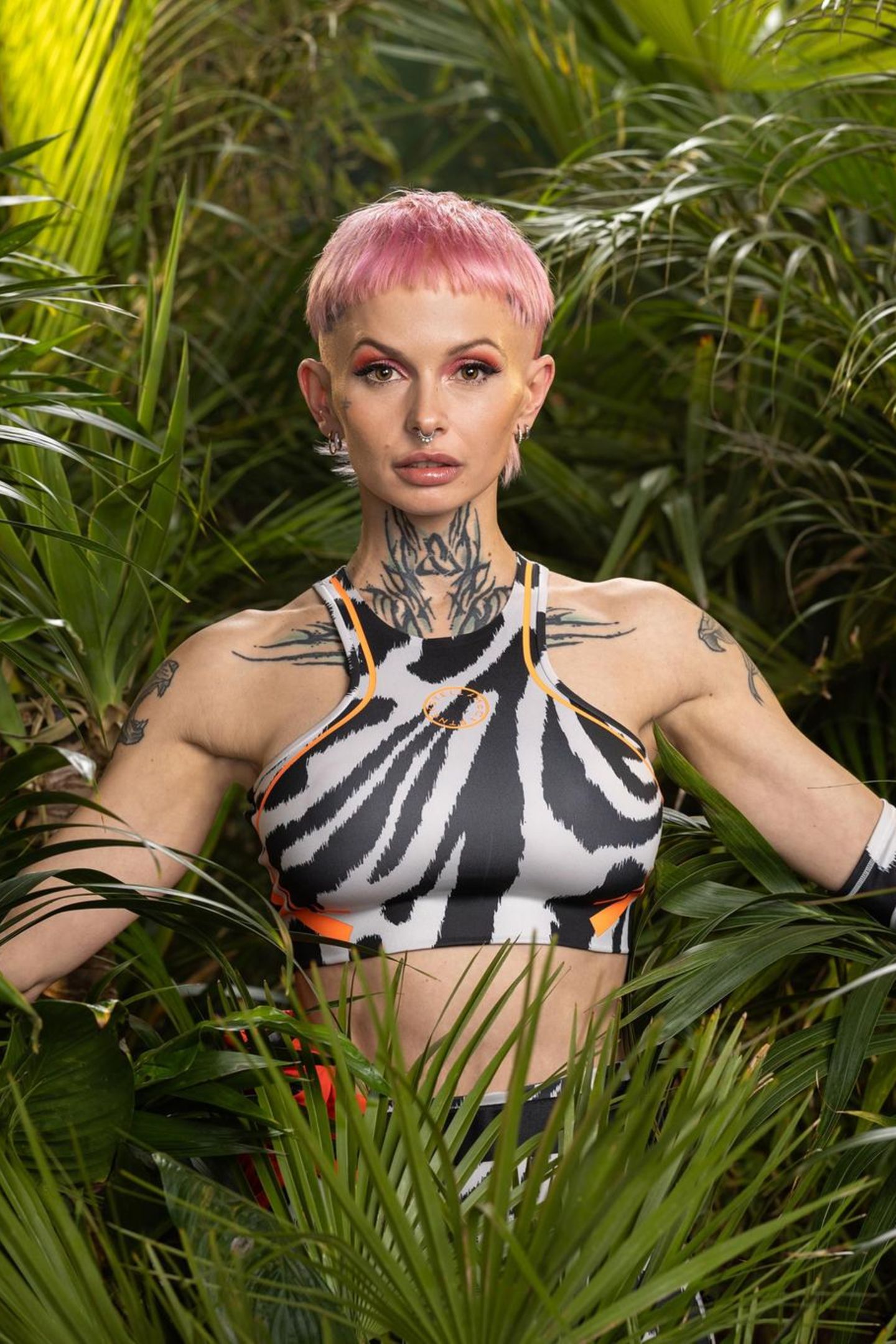 Dschungelcamp 2025: So stark haben sie sich Teilnehmer im Laufe der ...