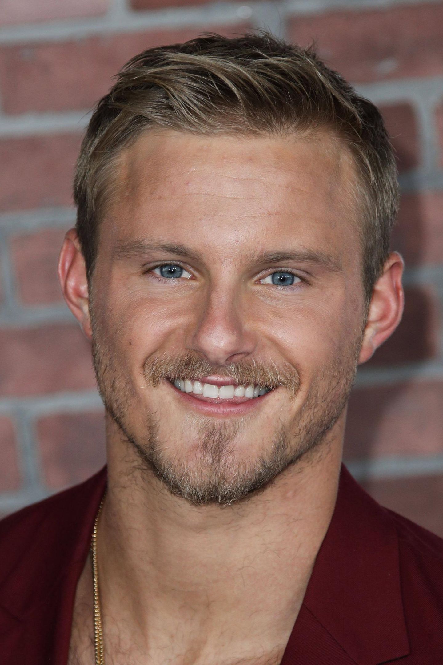 Alexander Ludwig Filme