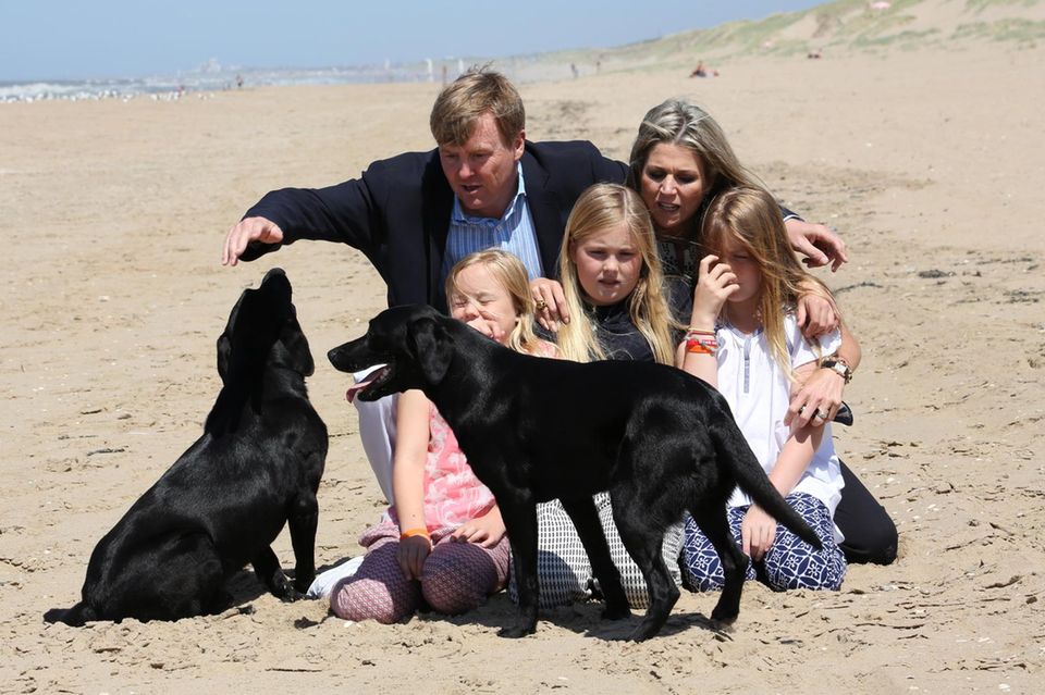 König Willem-Alexander + Königin Máxima: Ihr Hund Nala ist gestorben ...