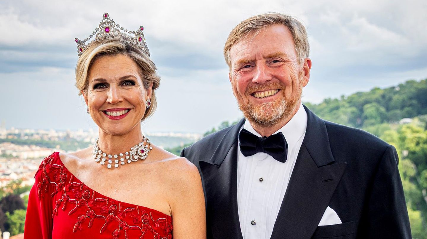 Königin Máxima: So zieht sie beim Staatsbankett alle Blicke auf sich | GALA.de