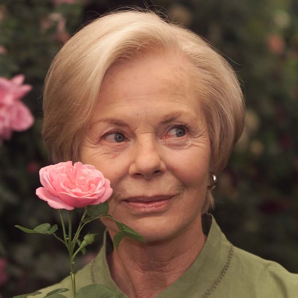 Prinz Harry + Meghan: Warum ein Foto aus dem Palast für Wirbel sorgt ...