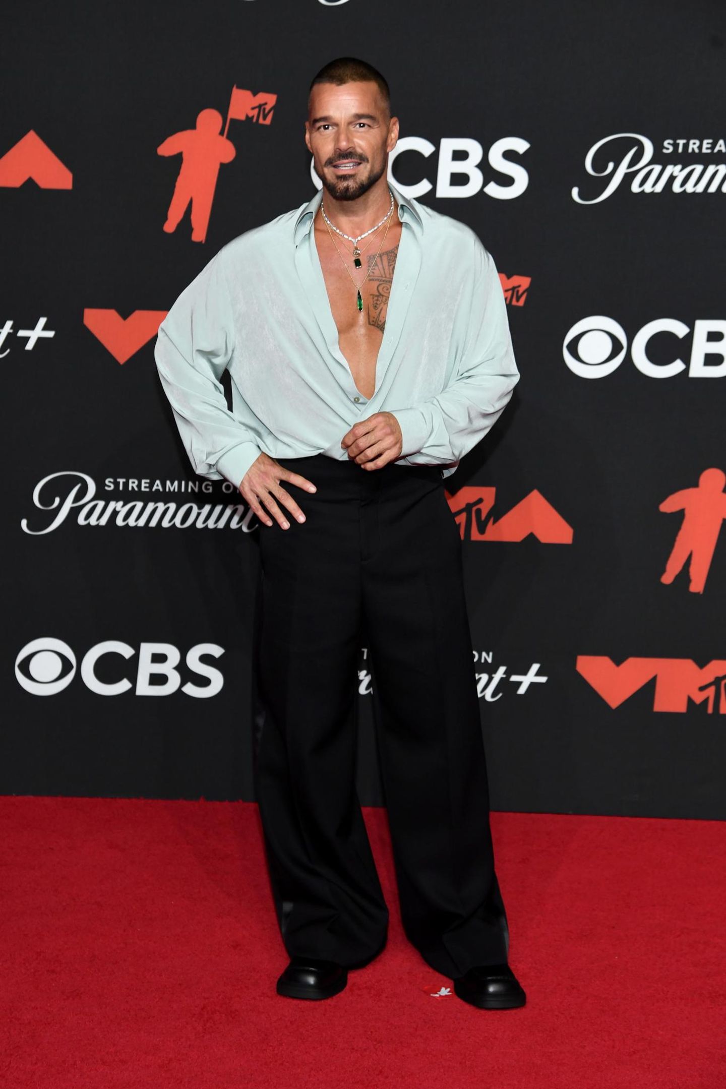 Ricky Martin Surrogatmor