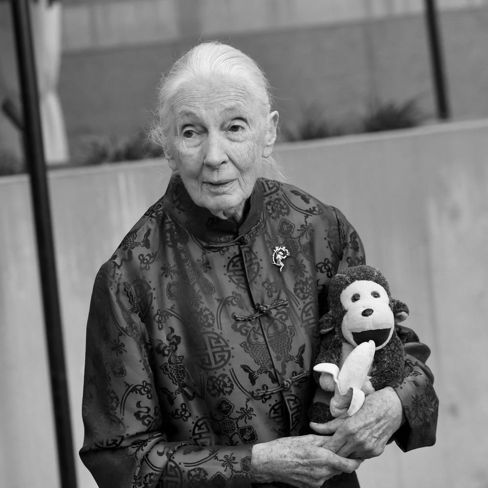 Jon Cryer wird 60: Vom "Show Killer" zum Sitcom-Superstar | GALA.de