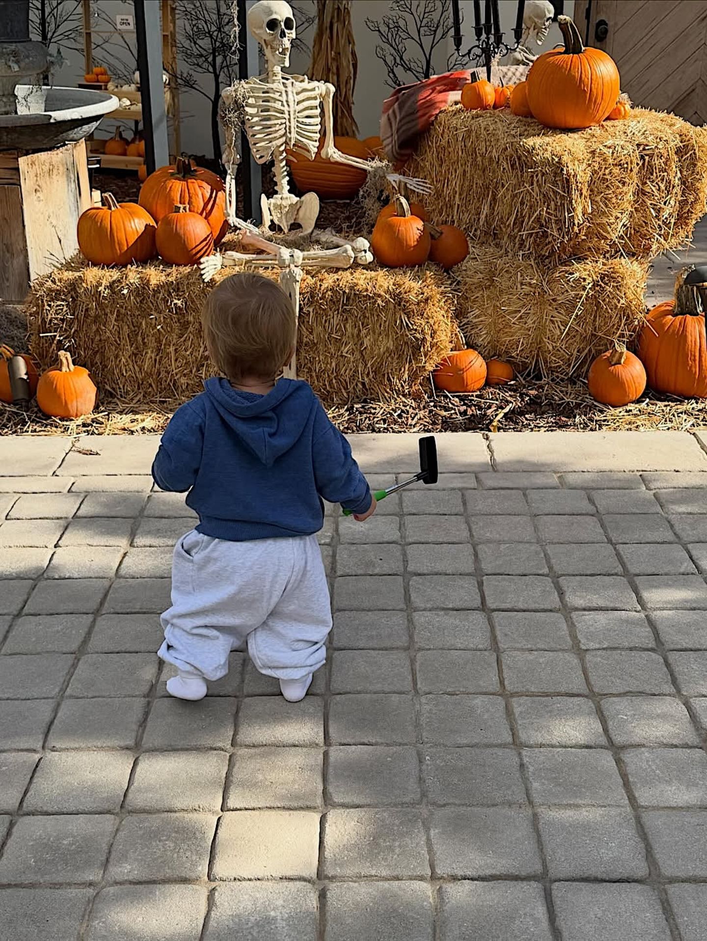 Kürbisfelder voller Promis: Stars lieben Halloween | GALA.de