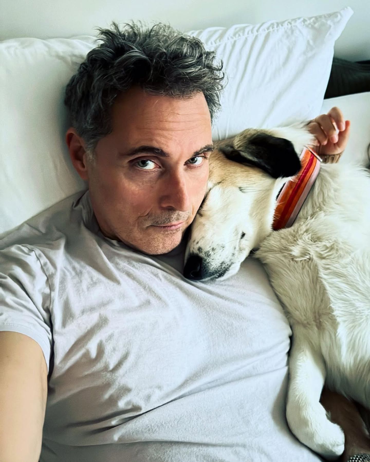 Hollywuff: Stars sind auf den Hund gekommen | GALA.de