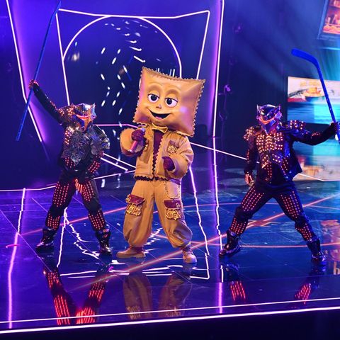 Finale am 13. Dezember: Die bisherigen "The Masked Singer"-Sieger | GALA.de