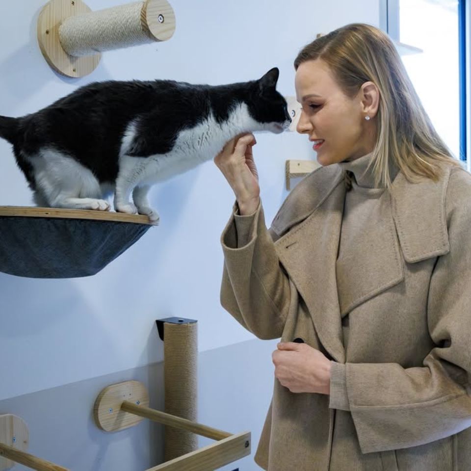 Linda Evans: So sieht der "Denver Clan"-Star heute aus | GALA.de