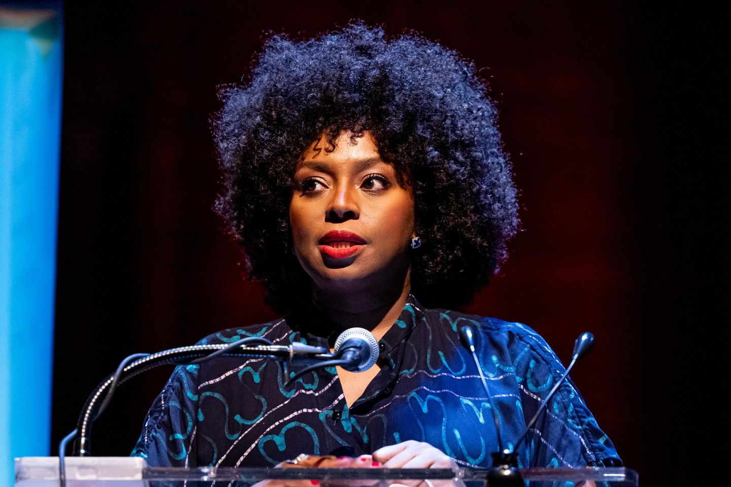 Chimamanda Ngozi Adichie: Autorin trauert um ihren Sohn (†21 Monate ...