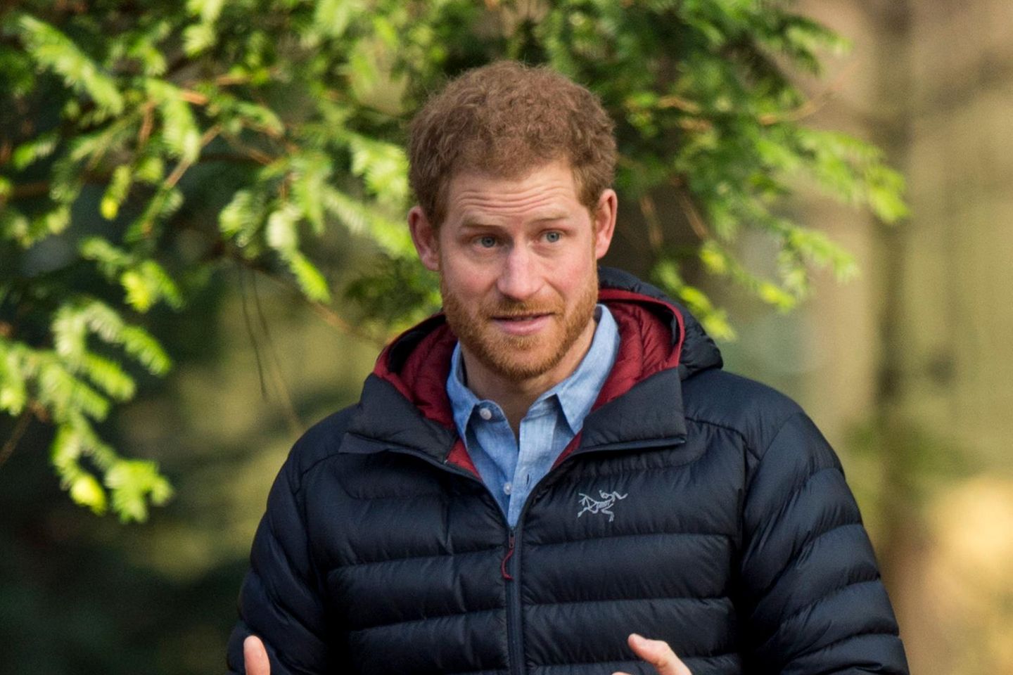 Prinz Harry: Erster Auftritt des Jahres! Er zeigt soziales Engagement ...