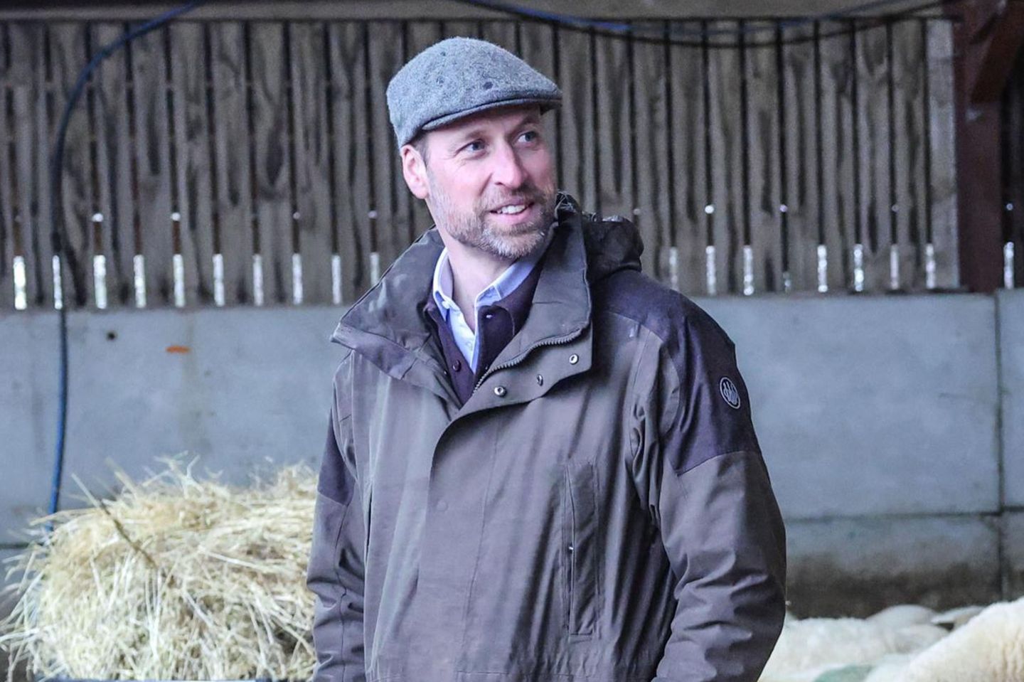 Prinz William: Ungewohnter Anblick! Royal hilft auf dem Bauernhof aus ...