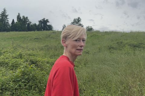 Tilda Swinton: "Als ich 33 war, bin ich auf 43 Beerdigungen gegangen ...