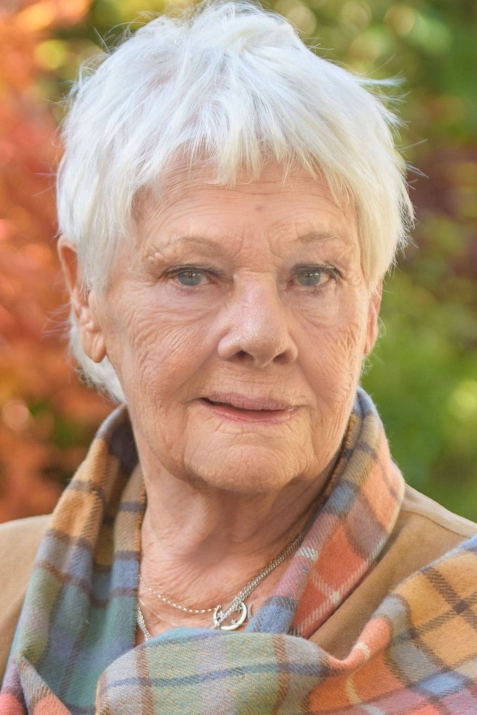 Judi Dench - Starporträt, News, Bilder | GALA.de
