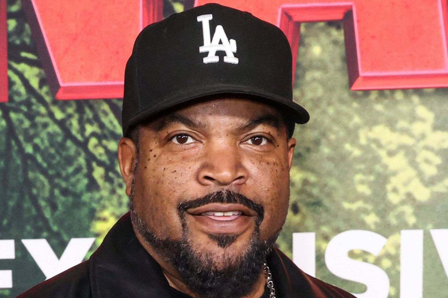 Verleihung der Goldenen Himbeere: Film mit Ice Cube räumt bei "Razzies ...
