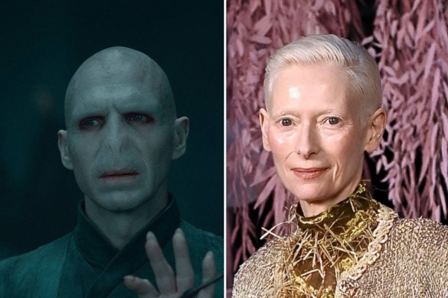 Ralph Fiennes über neue "Harry Potter"-Serie: Tilda Swinton als ...