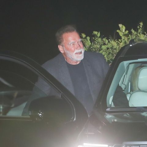 Arnold Schwarzenegger: Heimatbesuch vor Klimaschutzgipfel | GALA.de