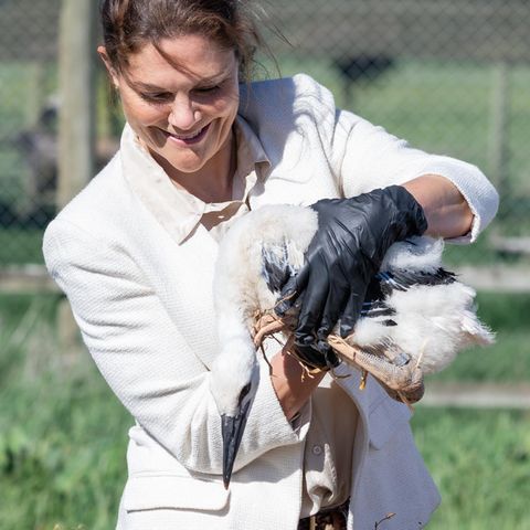 Prinzessin Victoria: Wen hat sie denn hier fest im Griff? | GALA.de