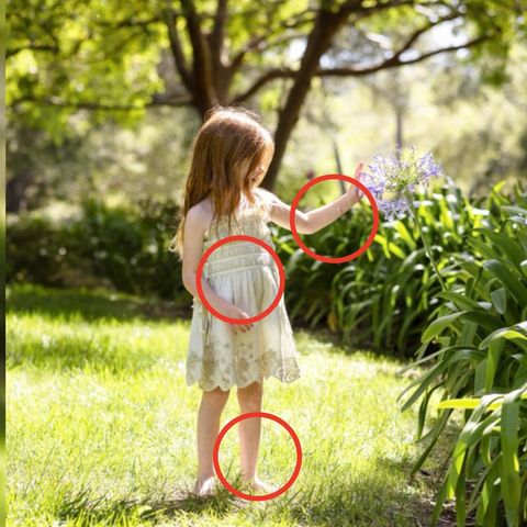 Prinzessin Lilibet: 3 verräterische Details lüften das Geheimnis um ...