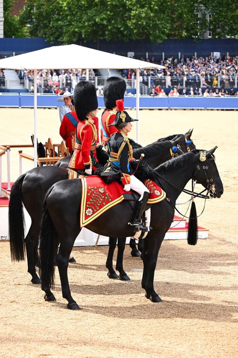 Trooping the Colour 2026: Die schönsten Fotos von König Charles ...