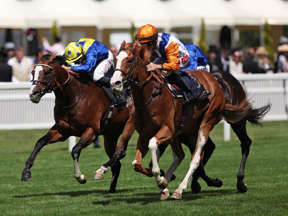Glanz, Glamour und Galopp: Die besten Fotos der Royal-Ascot-Rennwoche ...