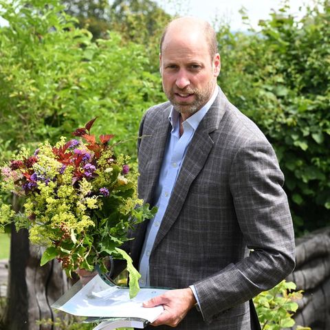 Prinz William, The Prince of Wales - Steckbrief, News, Bilder | GALA.de